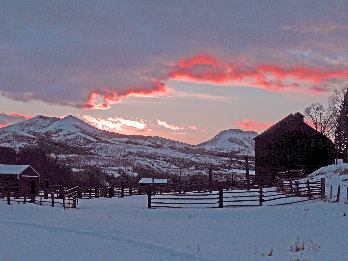 Photo Gallery - Focus Ranch - A Real Working Cattle Ranch in Slater ...