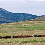 Photo Gallery - Focus Ranch - A Real Working Cattle Ranch in Slater ...