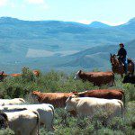 Photo Gallery - Focus Ranch - A Real Working Cattle Ranch in Slater ...