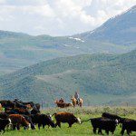 Photo Gallery - Focus Ranch - A Real Working Cattle Ranch in Slater ...
