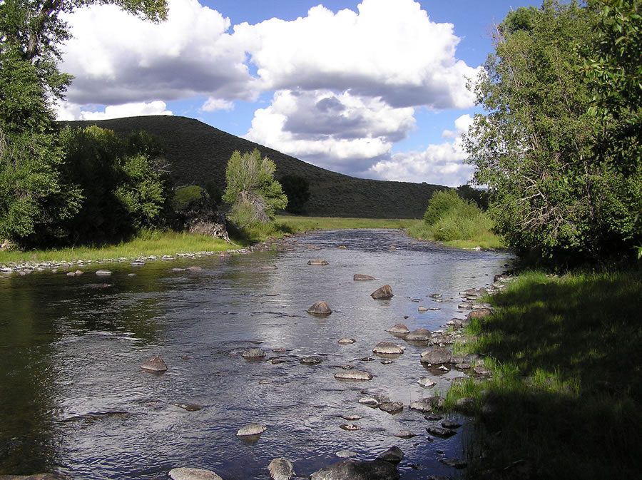 Photo Gallery - Focus Ranch - A Real Working Cattle Ranch in Slater ...