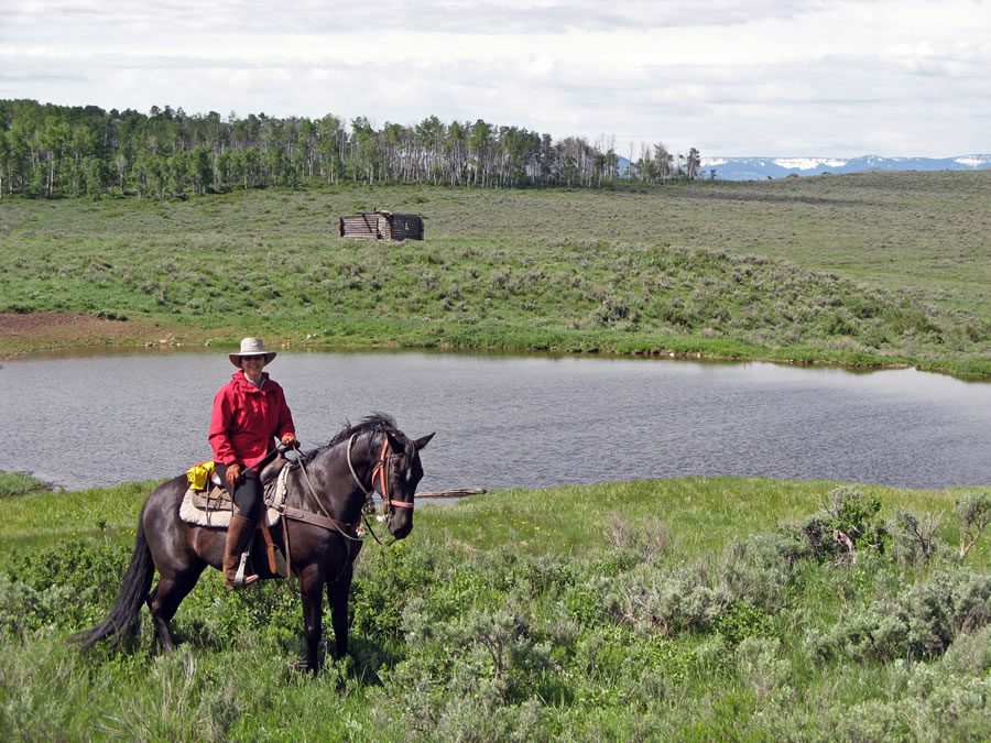 Photo Gallery - Focus Ranch - A Real Working Cattle Ranch in Slater ...