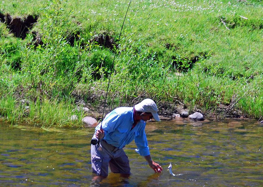 Photo Gallery - Focus Ranch - A Real Working Cattle Ranch in Slater ...